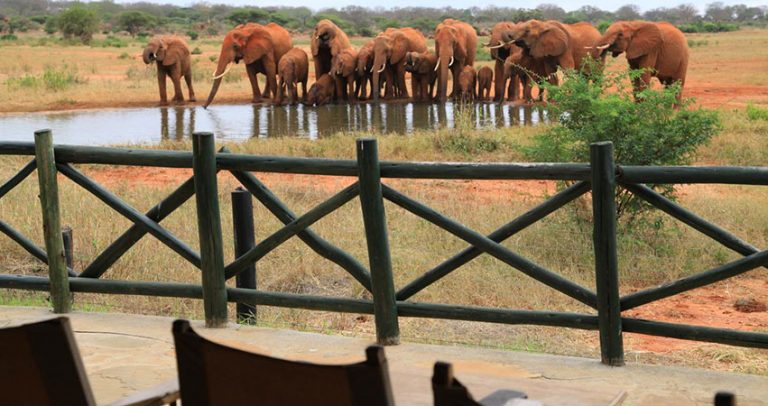 Voi Wildlife Lodge | Kenya Safaris